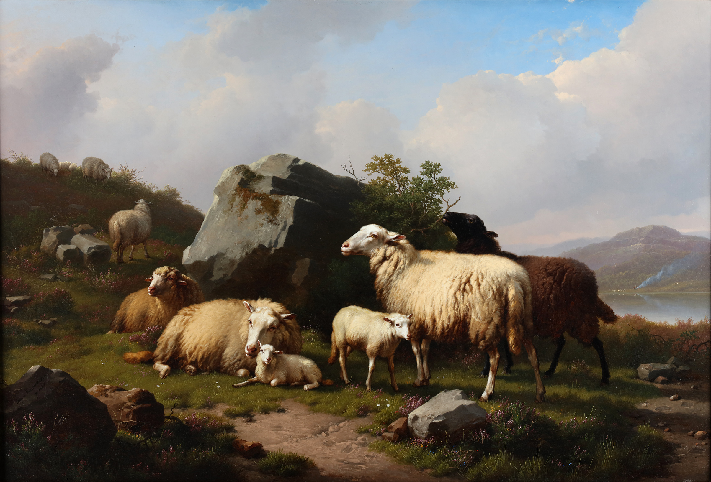 Jan Muller - Collection