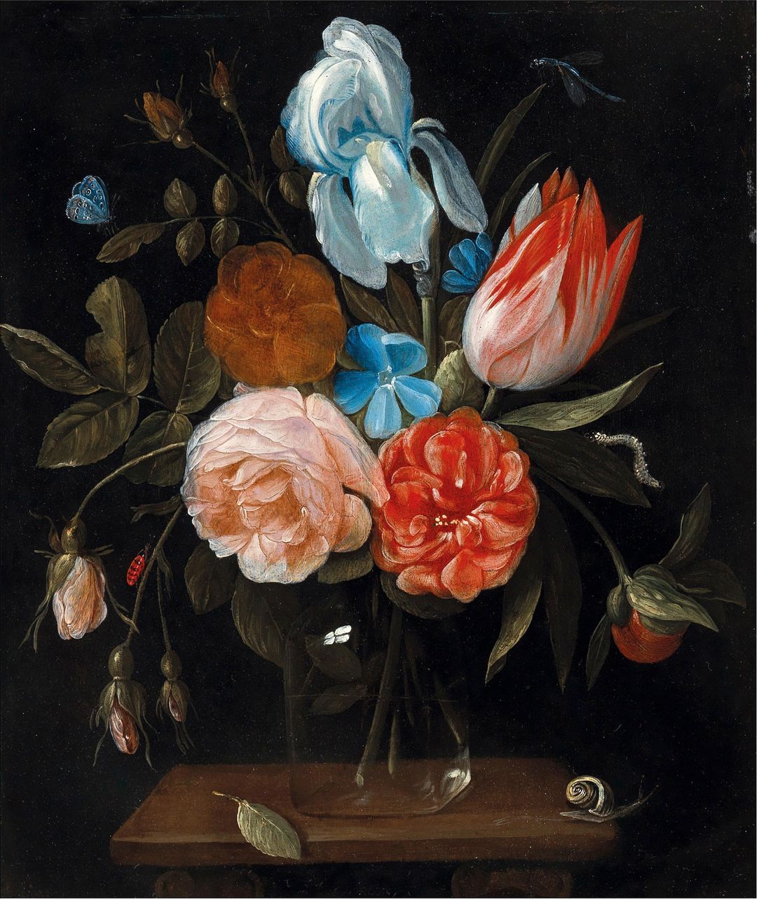 Jan Muller - Collection