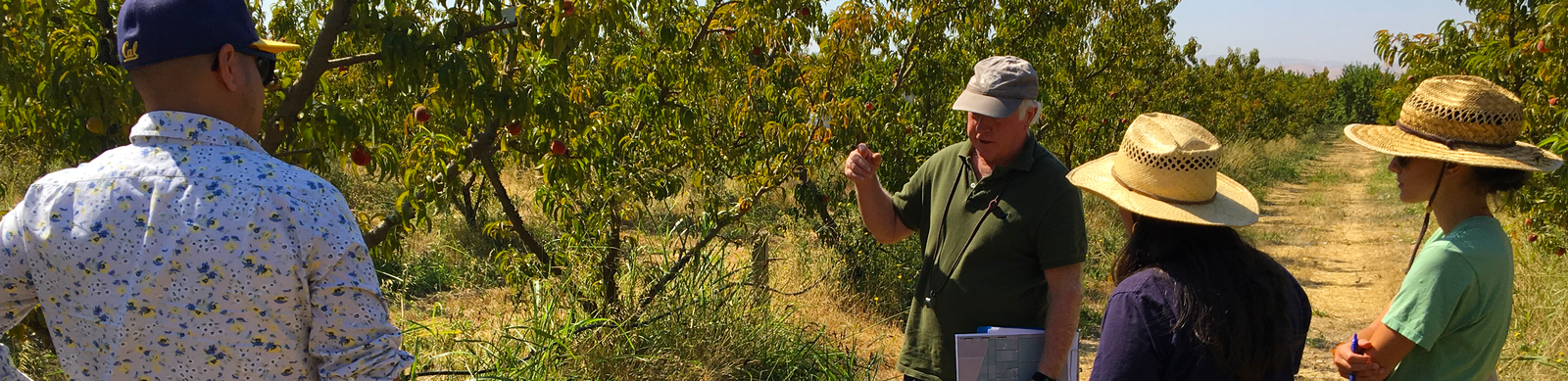 AGRICULTURE PARTNERS