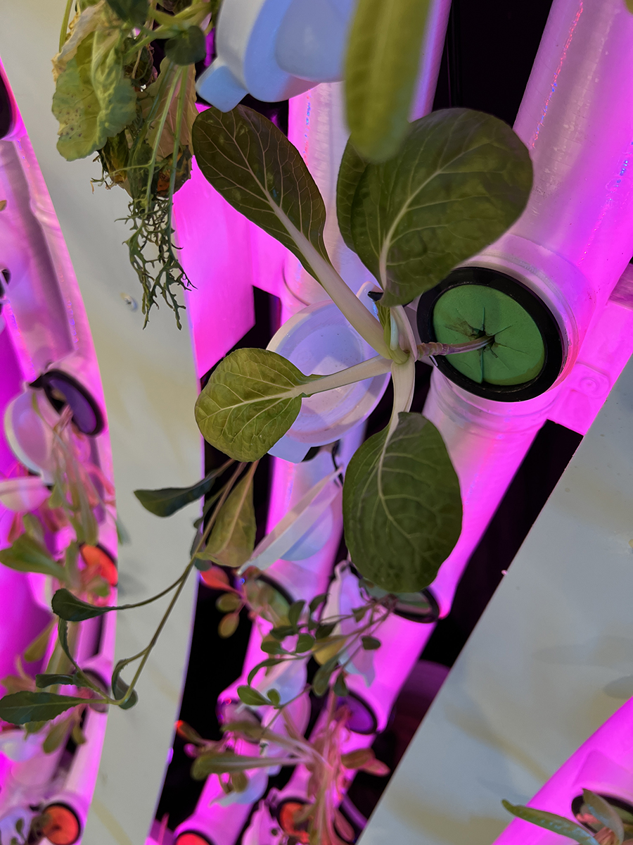 We feed astronauts on their way to Mars. : Nonfiction