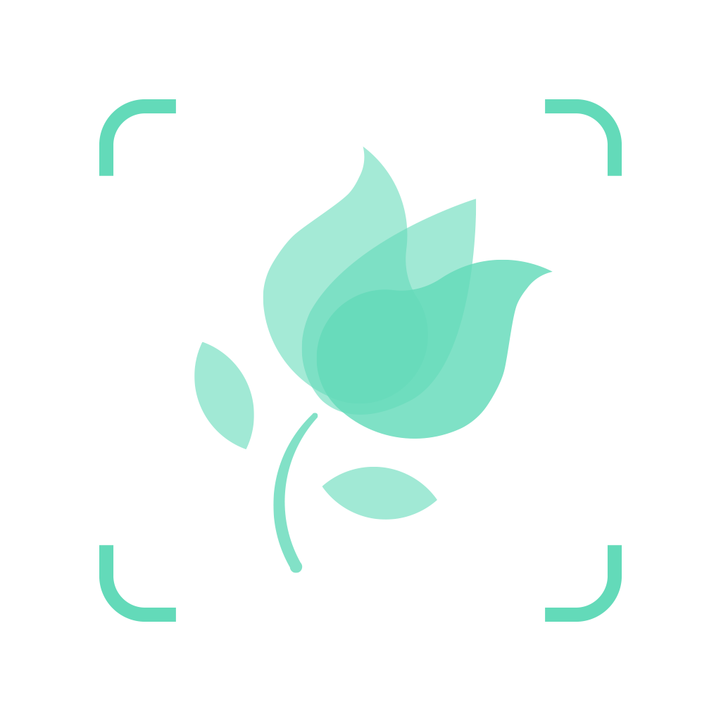 PictureThis App Fuel