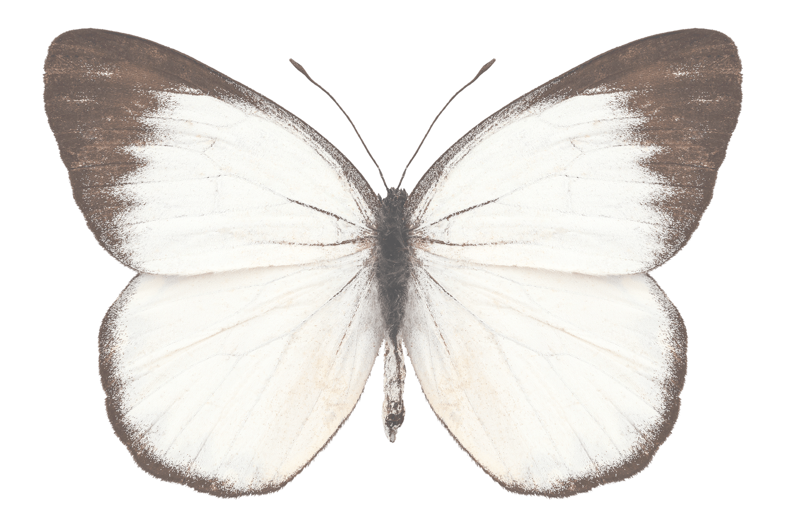 White Spa + Float Lounge