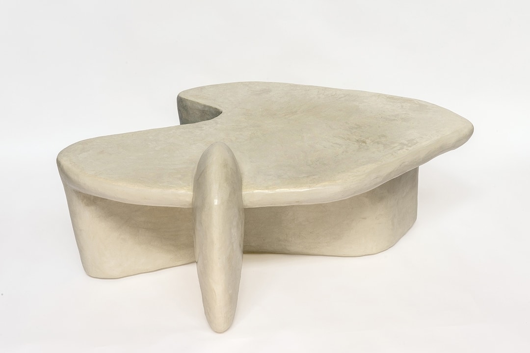 Contra Naturam Coffee Table