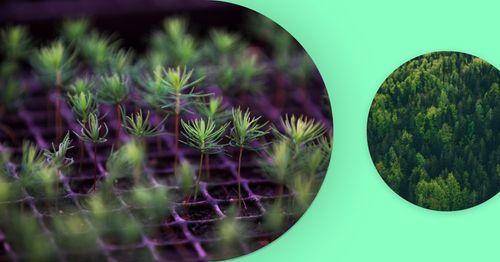 Global Vertical Farming Technology | IGS