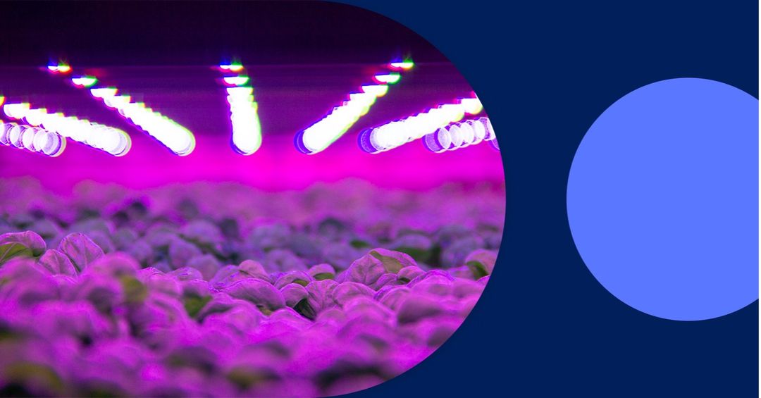 Intelligent Growth Solutions | Global Vertical Farming Technology