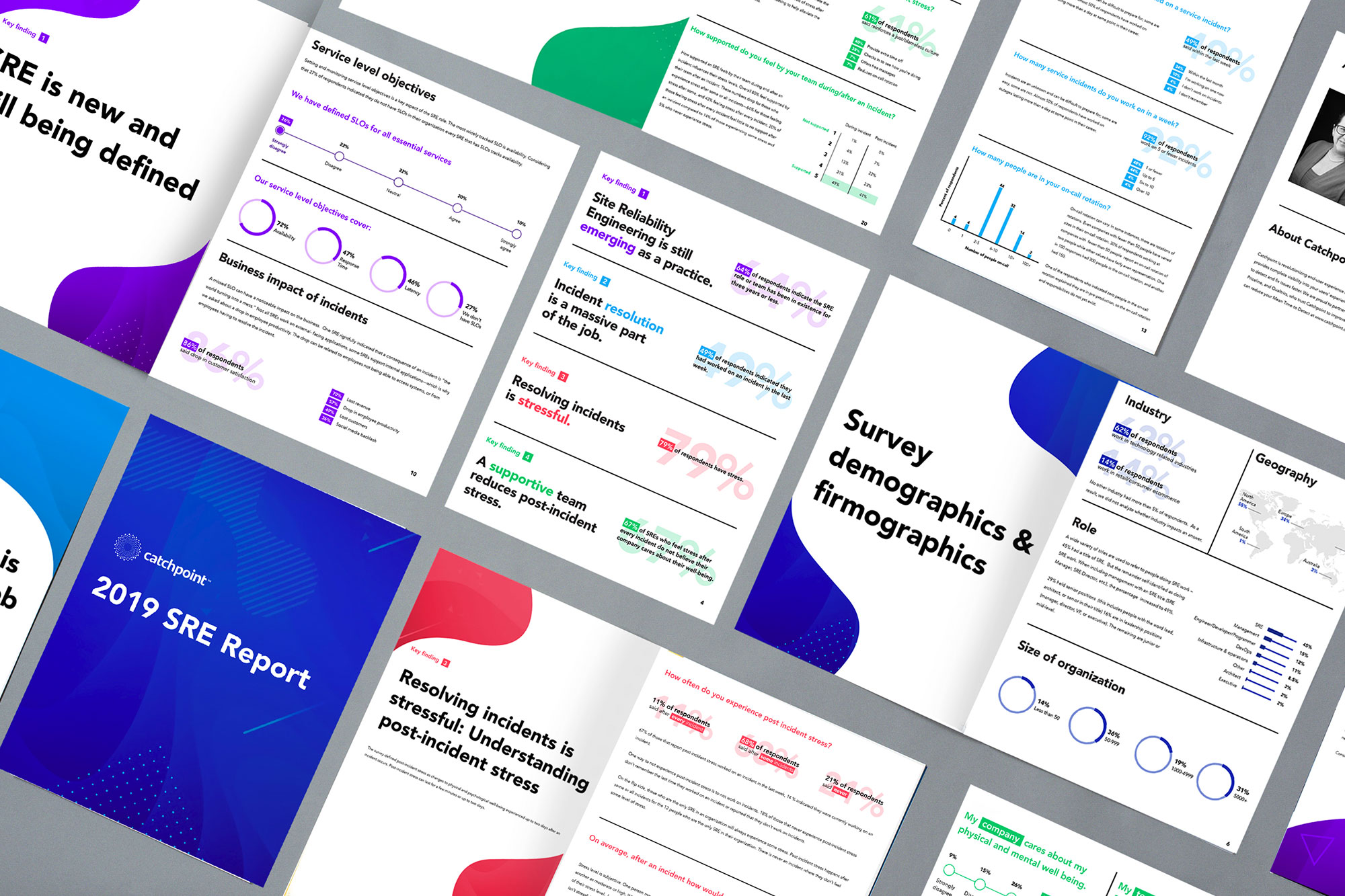 Taylor Meluch Portfolio: 2019/2020 SRE Reports