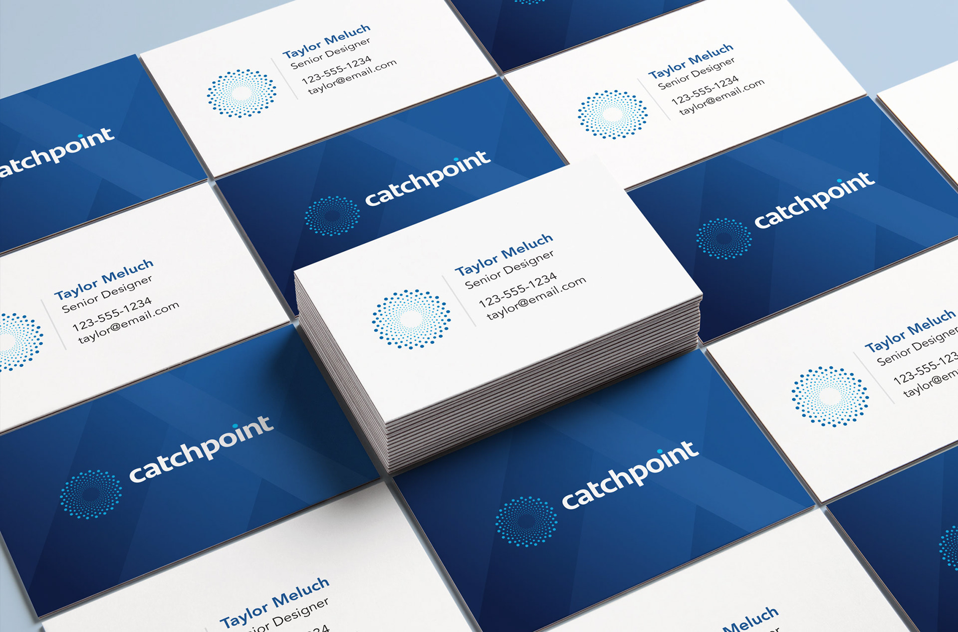 Taylor Meluch Portfolio: Catchpoint Brand