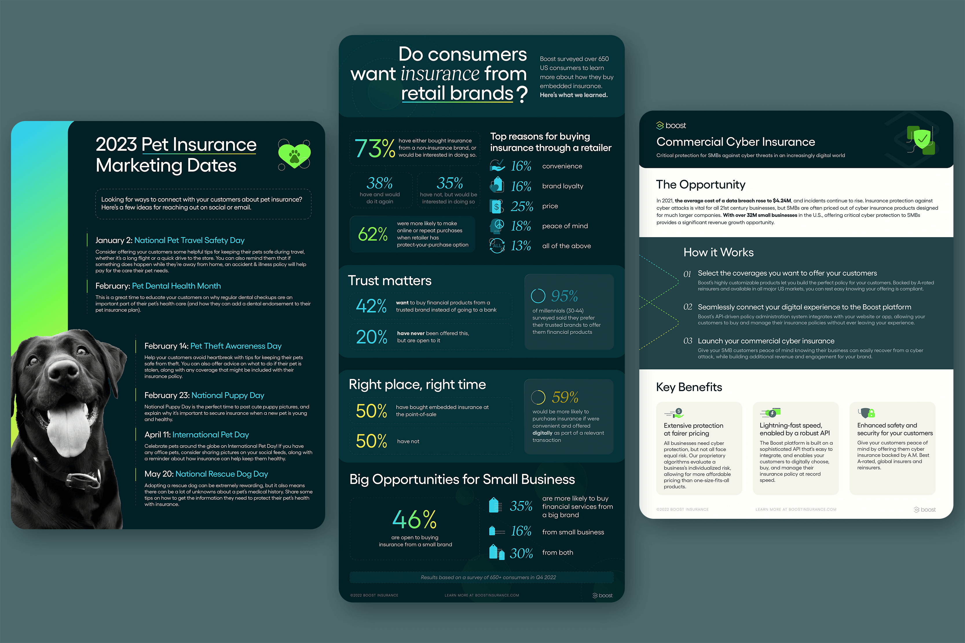 Taylor Meluch Portfolio: Boost Insurance Rebrand