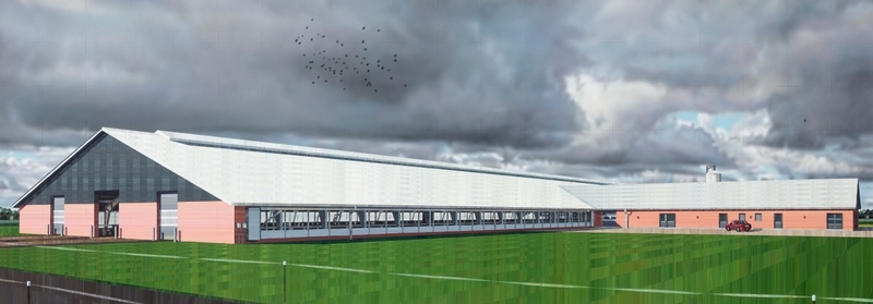 Portfolio - Allan Otte