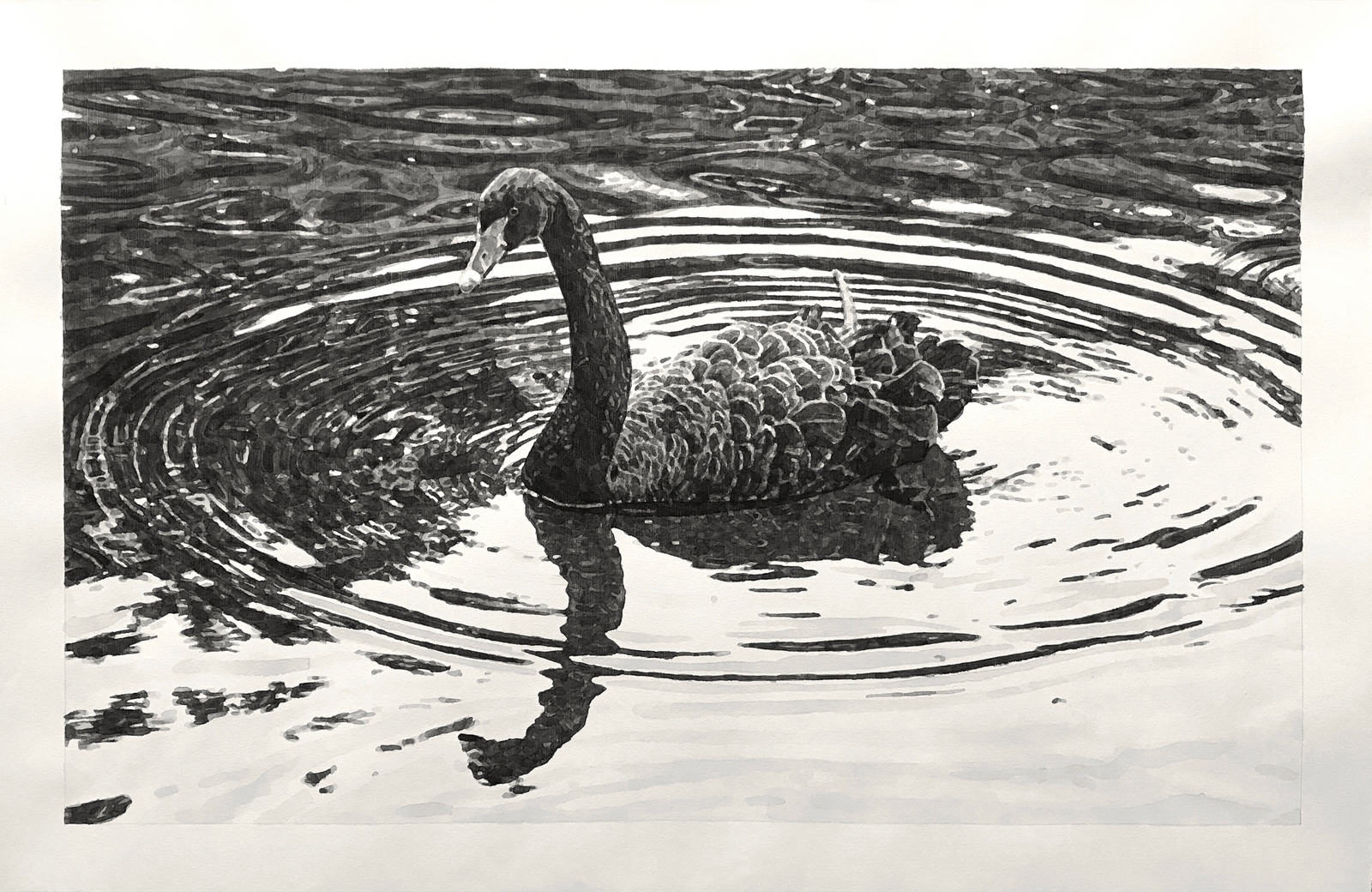 Portfolio - Allan Otte