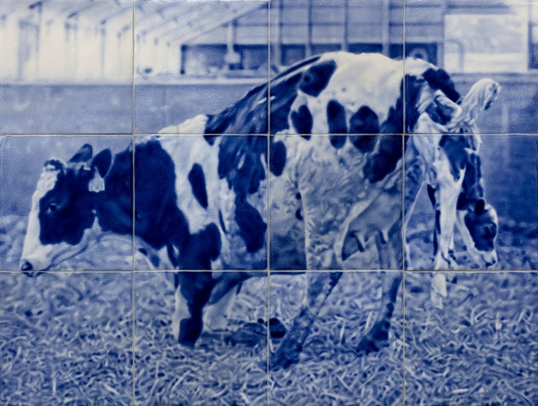 Portfolio - Allan Otte