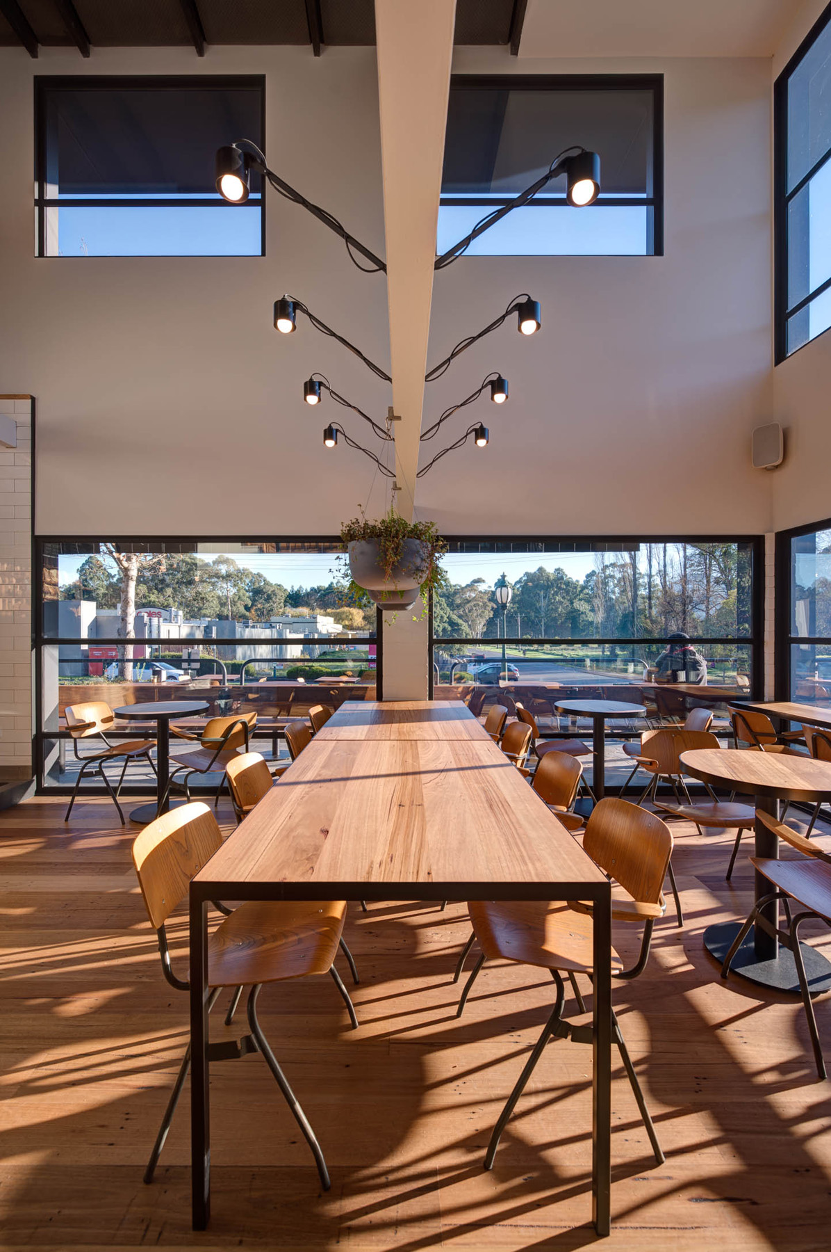 Habituel / Morphological – Bergman & Co.