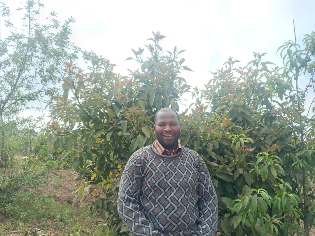 About Village Schools International