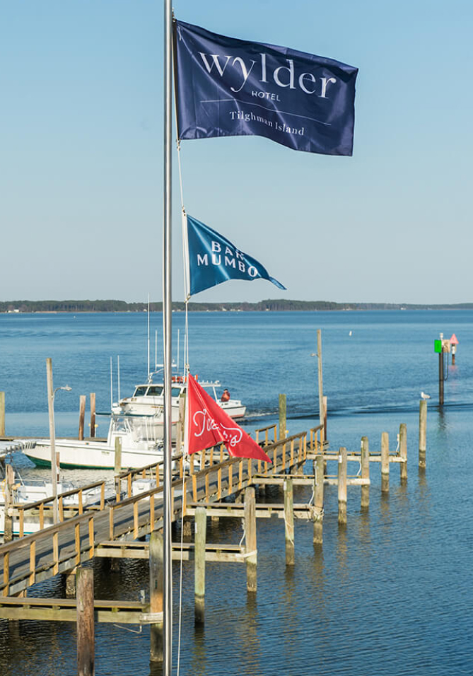 Wylder Hotels | Revolver New York