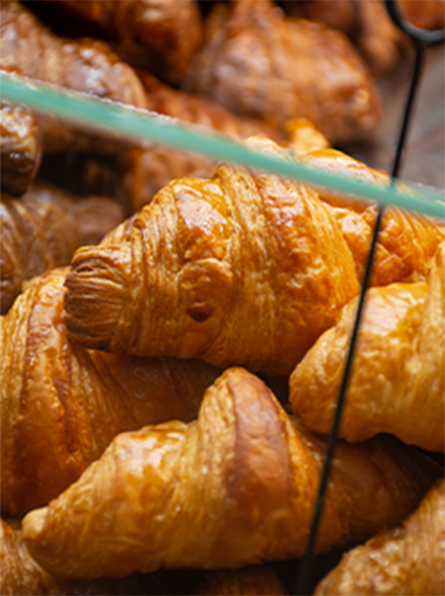 FarOcean — Brand Story