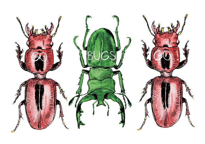 Go Bugs Go - Ausstellung