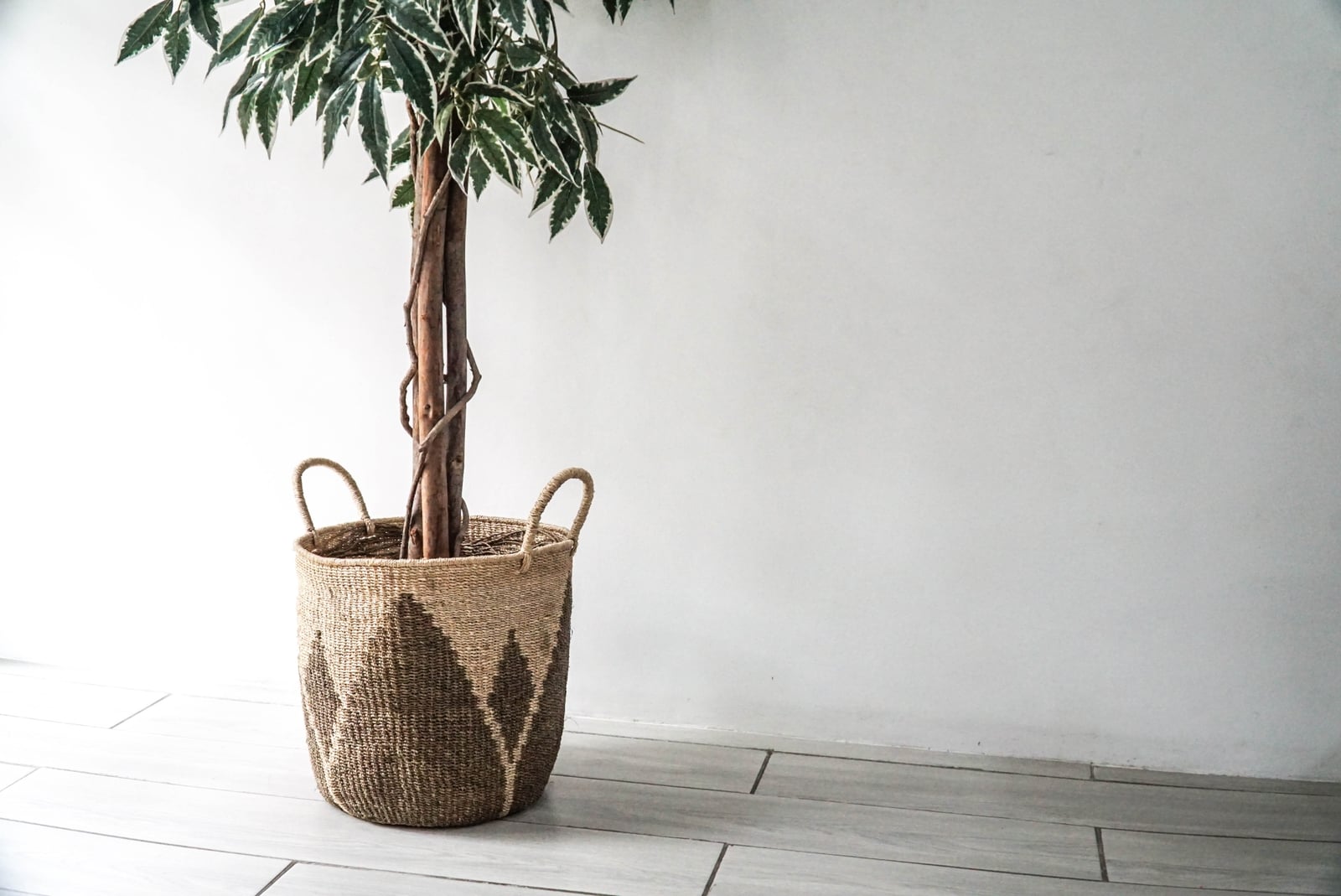 Contact Us | Phildansk International