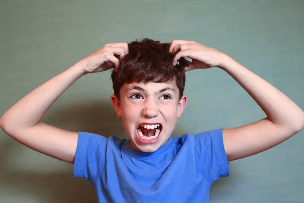 What Do Head Lice Eat? | LiceDoctors