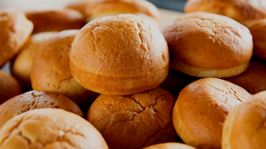 GreatPoint Ventures Companies