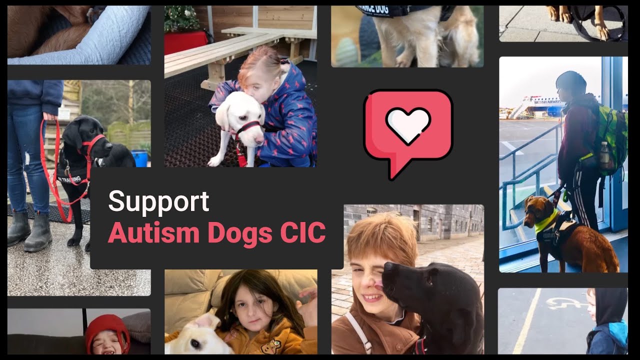 Support us | Autism Dogs Charity