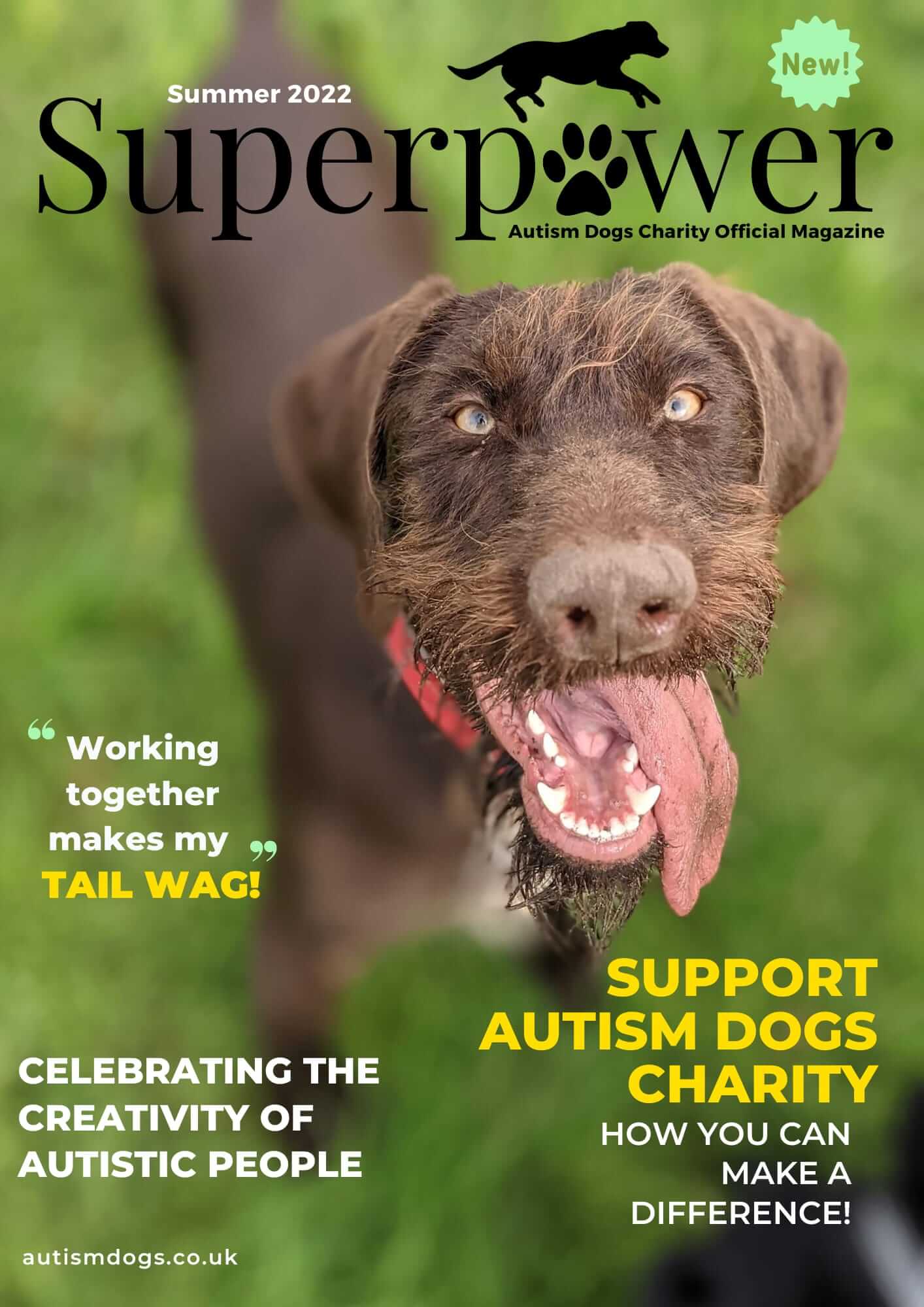 Magazine | Autism Dogs Charity