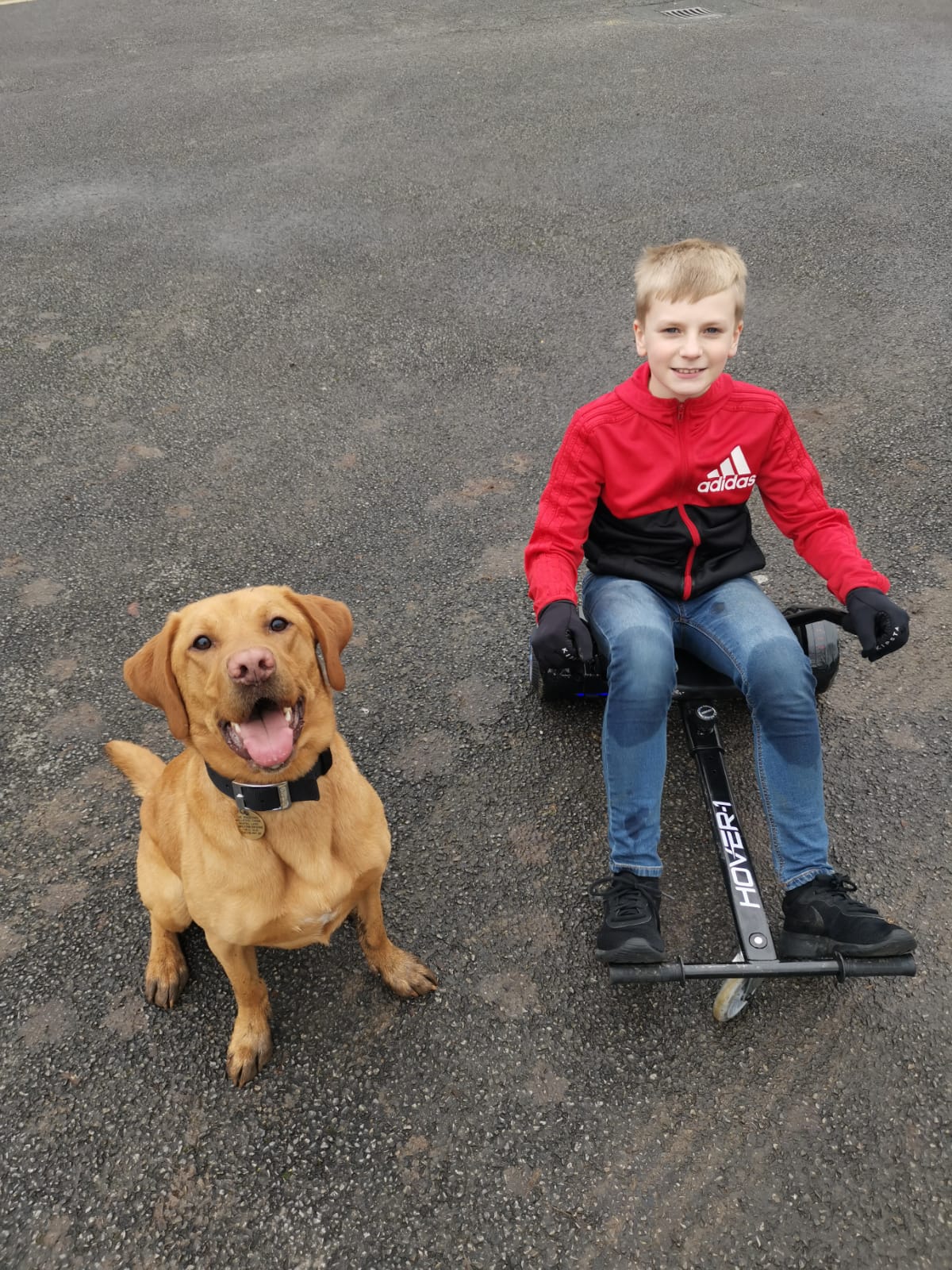 What are the benefits? | Autism Dogs CIC