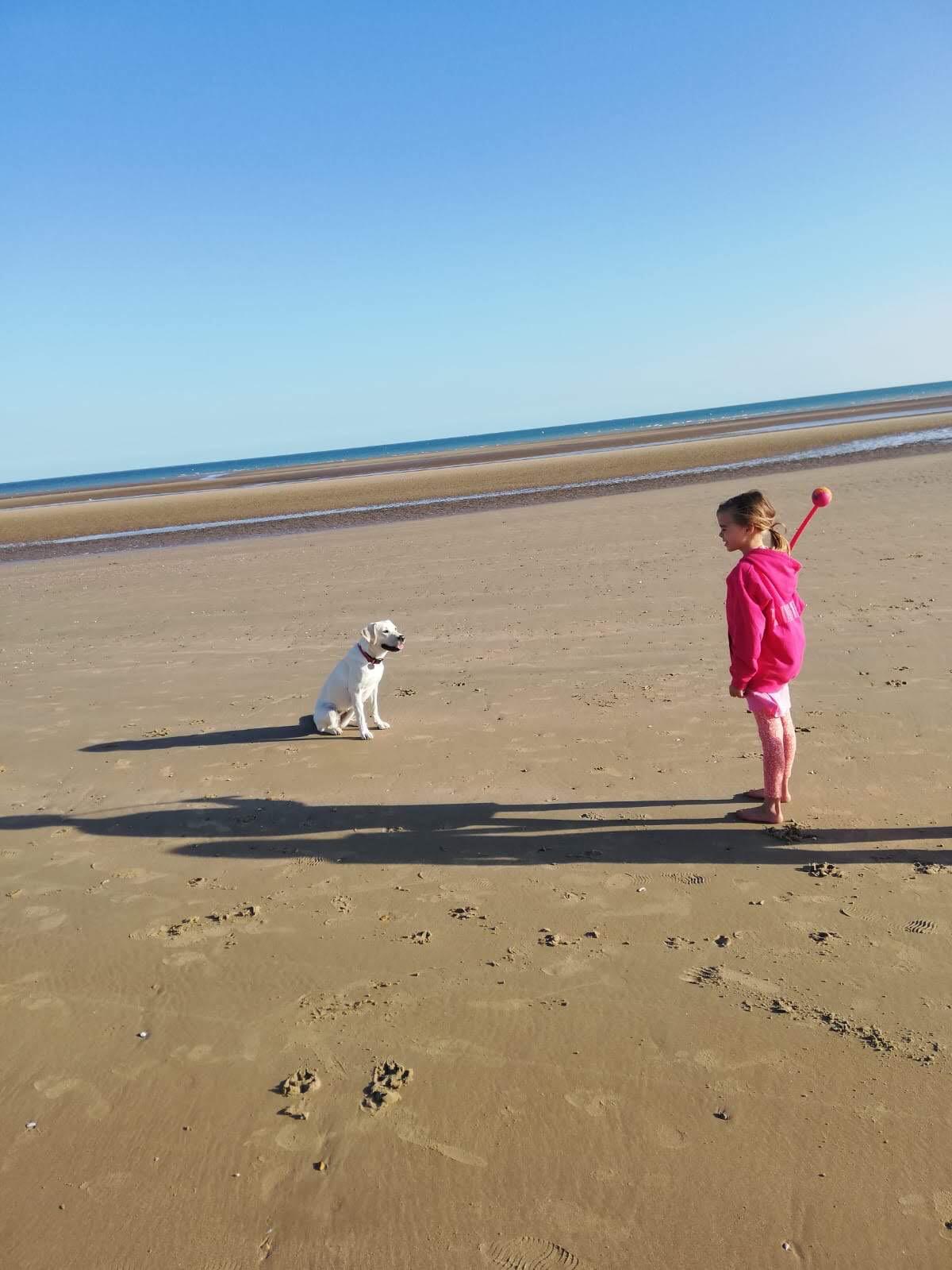 What are the benefits? | Autism Dogs CIC