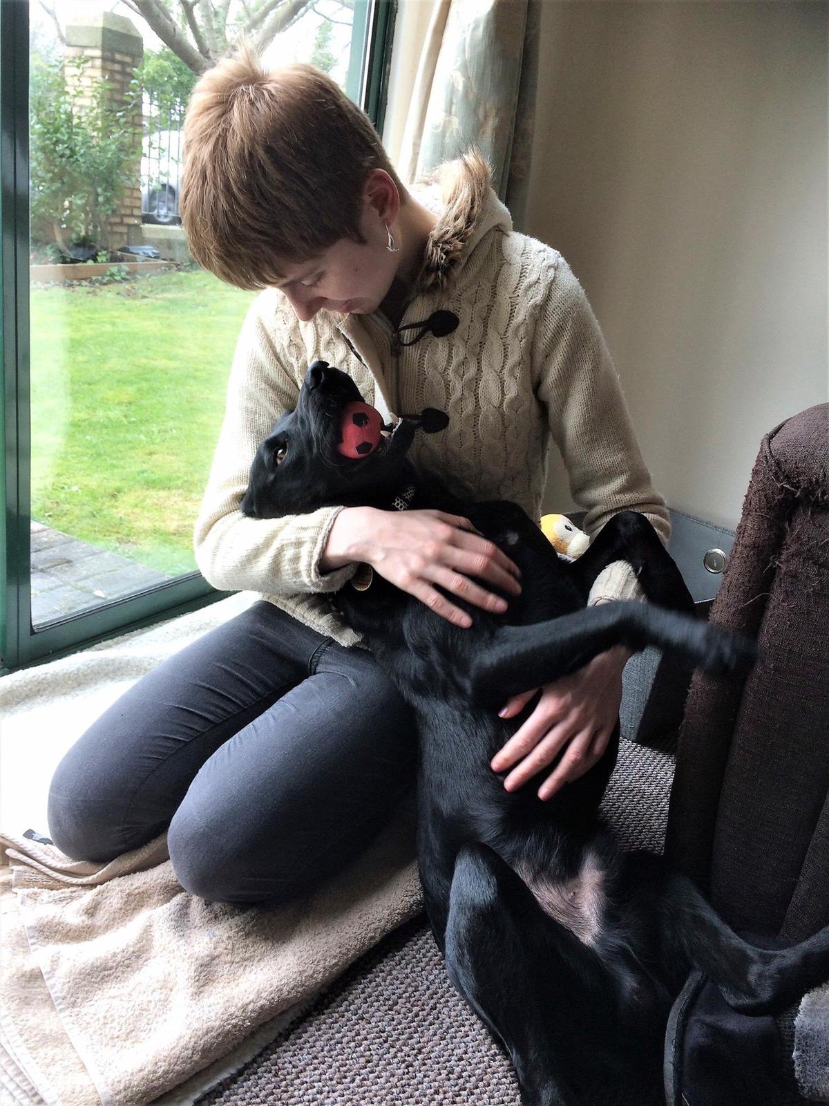 What are the benefits? | Autism Dogs CIC