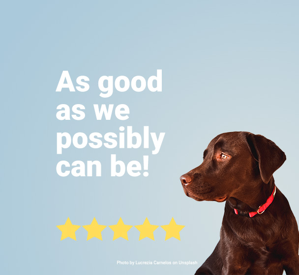Our qualifications | Autism Dogs CIC
