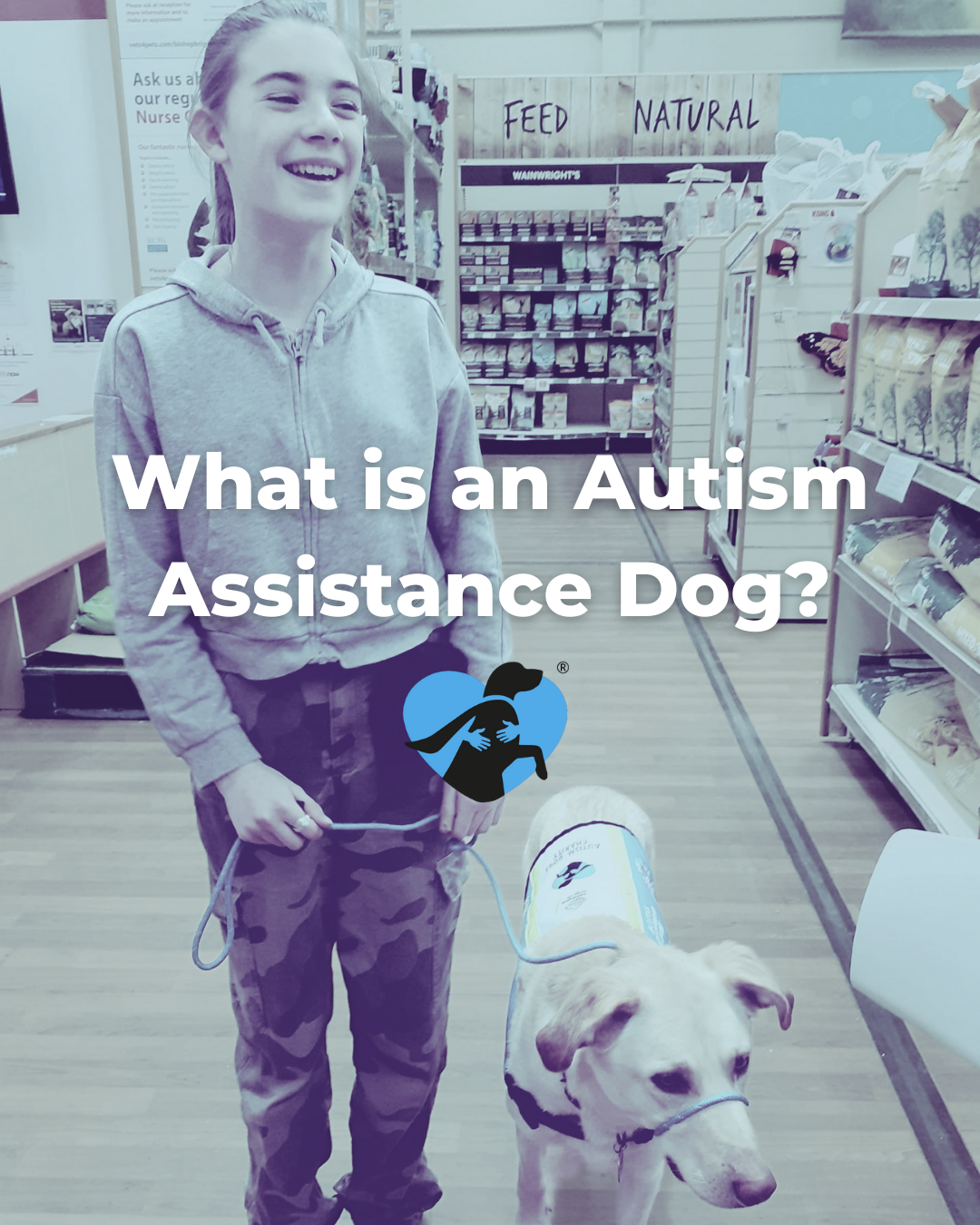 What is an Autism Assistance Dog? | Autism Dogs CIC