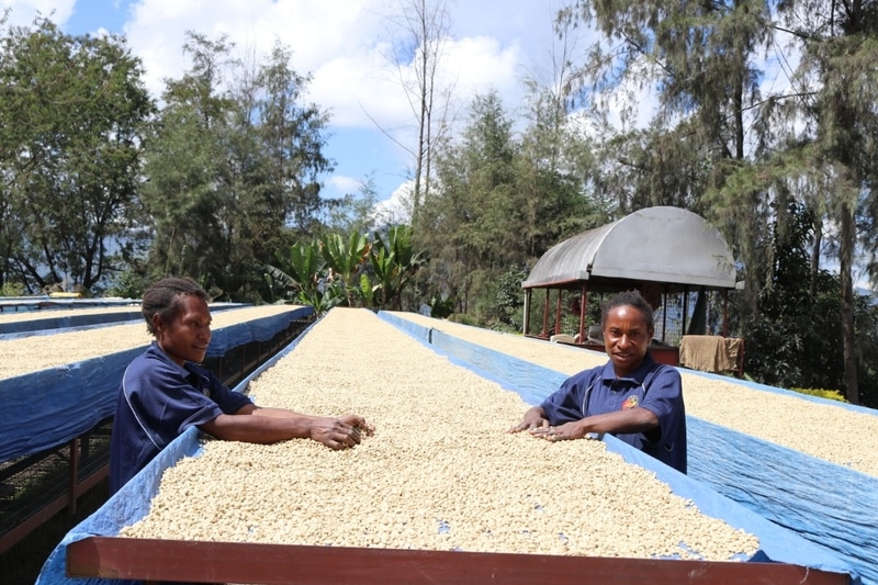 Source green coffees locally, from Indonesia and Papua New Guinea