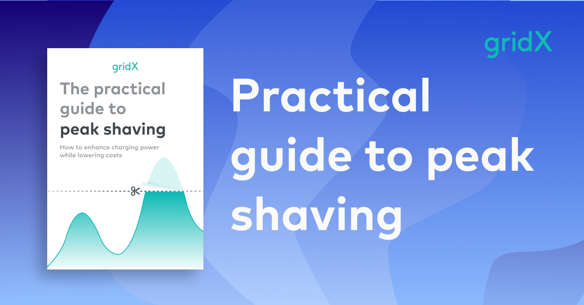 The practical guide to peak shaving