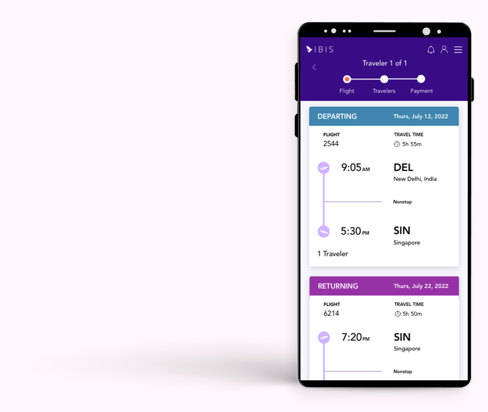 IBIS AIRWAYS Case Study