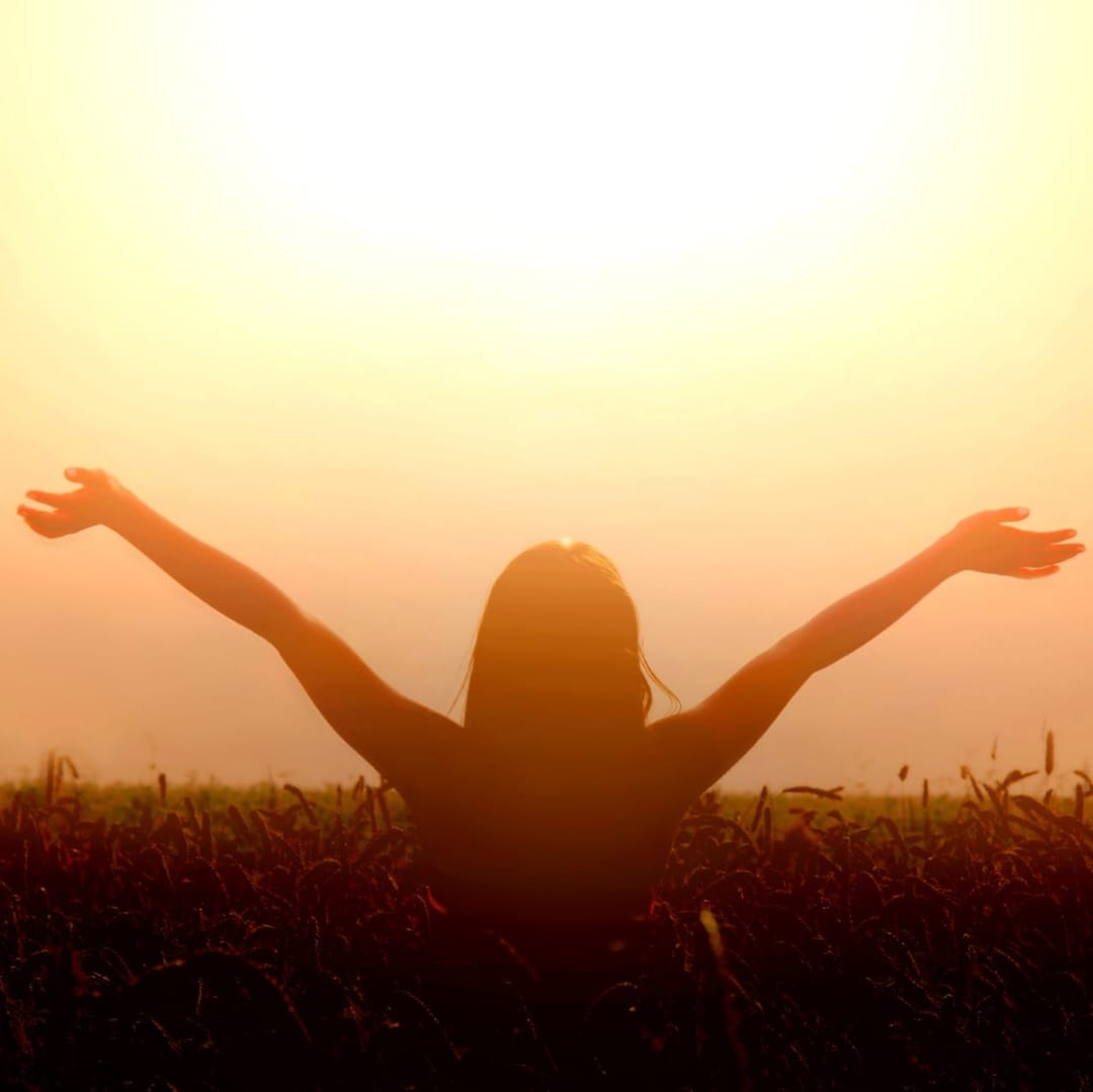 SkySense | Paneles Solares | Storage BESS México