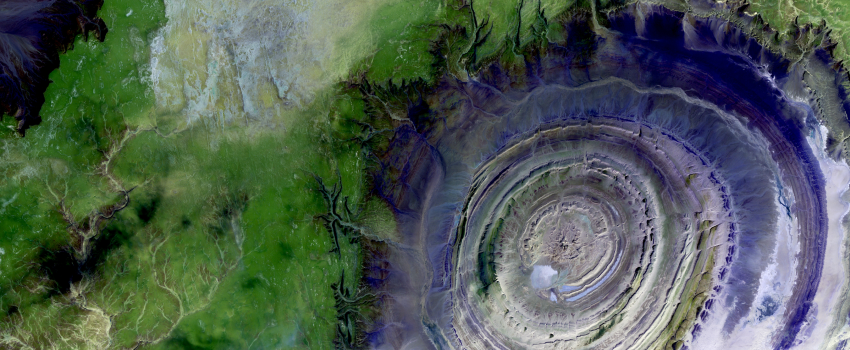 Sylvera carbon credit ratings: 4 key terms to know