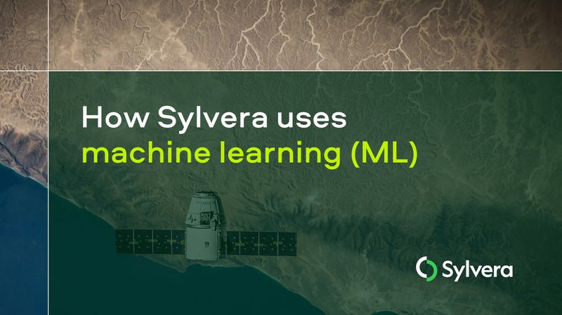 Carbon Markets Reports, Data and Research - Sylvera