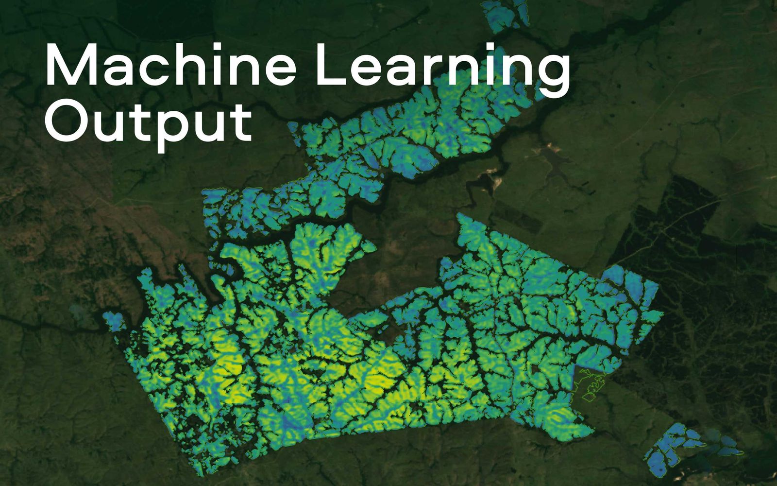 How Sylvera uses machine learning to assess carbon projects