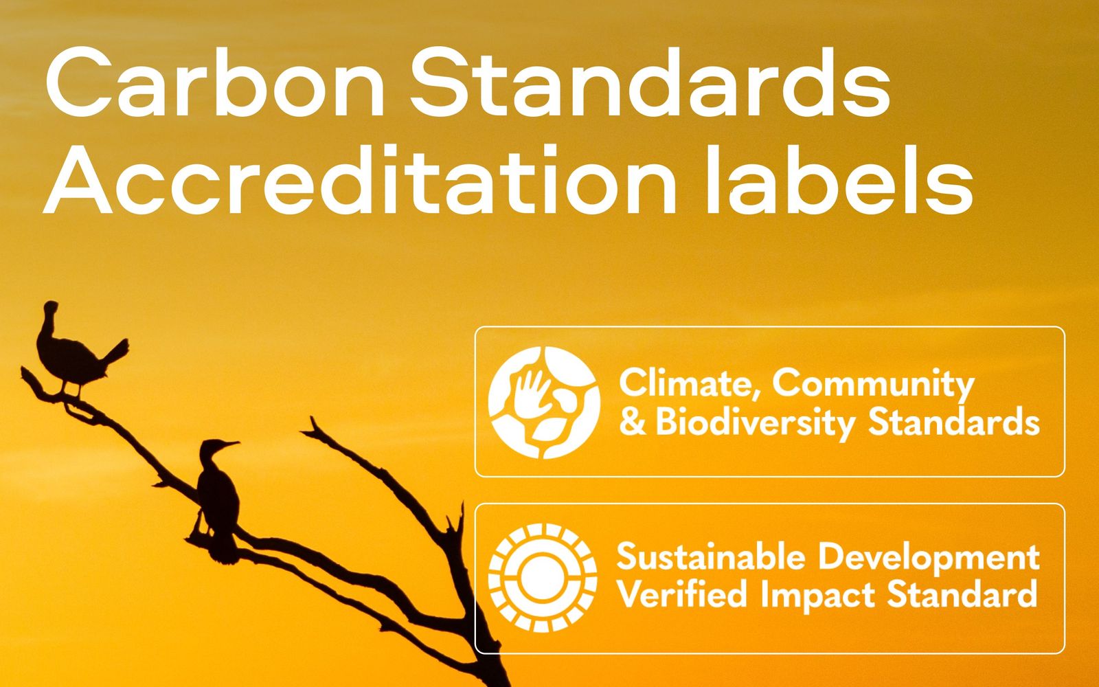 Carbon credit accreditation labels