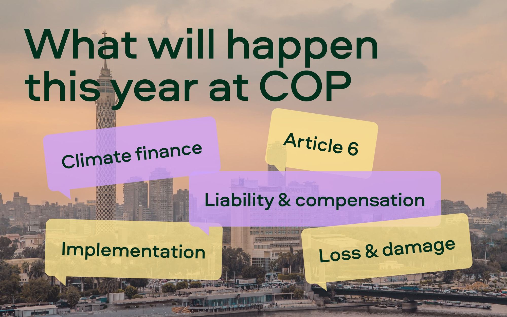 What to expect at COP27