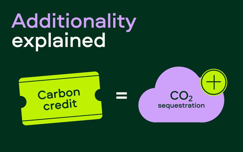 Additionality explained