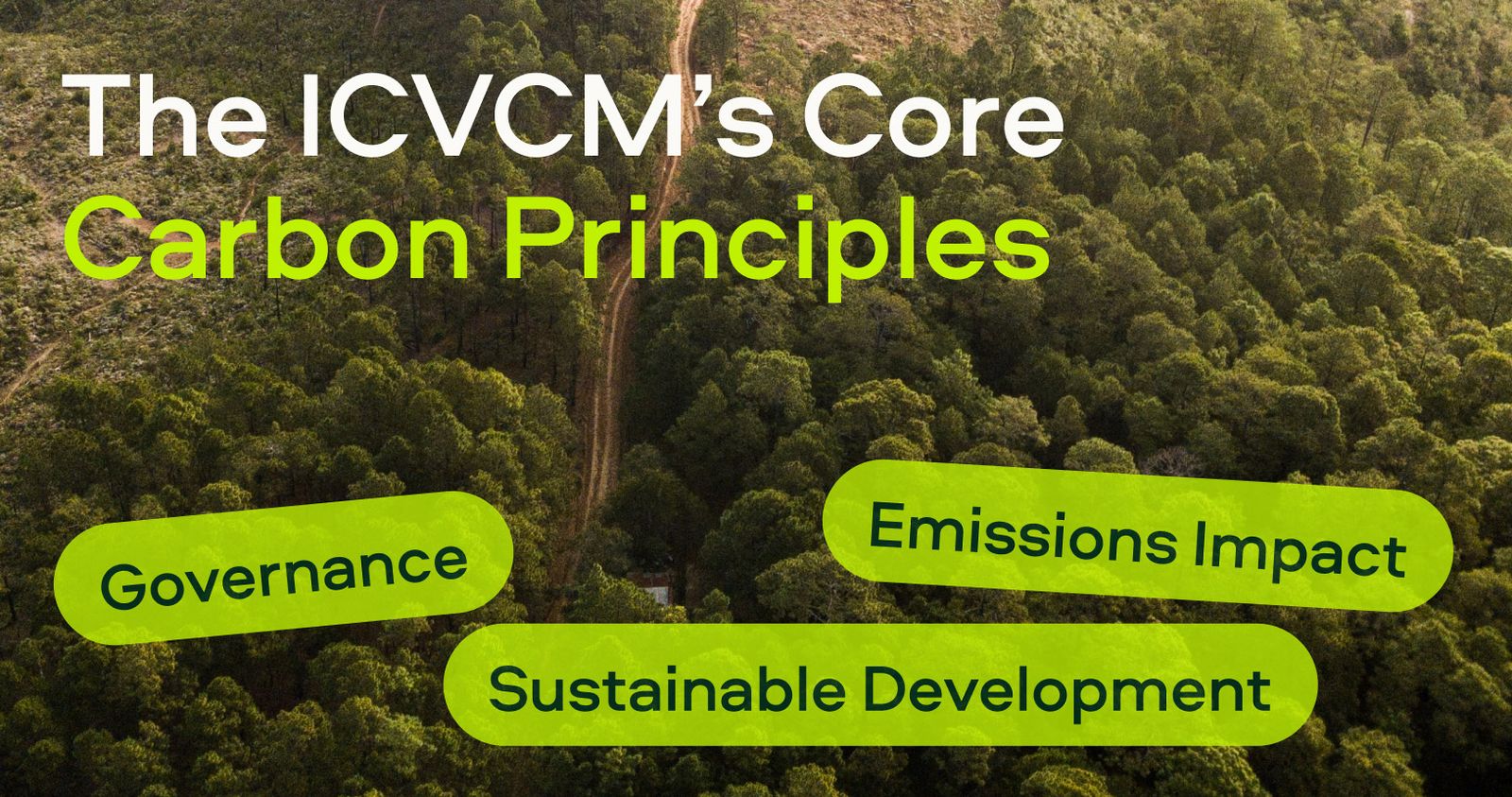 The IC-VCM’s Core Carbon Principles
