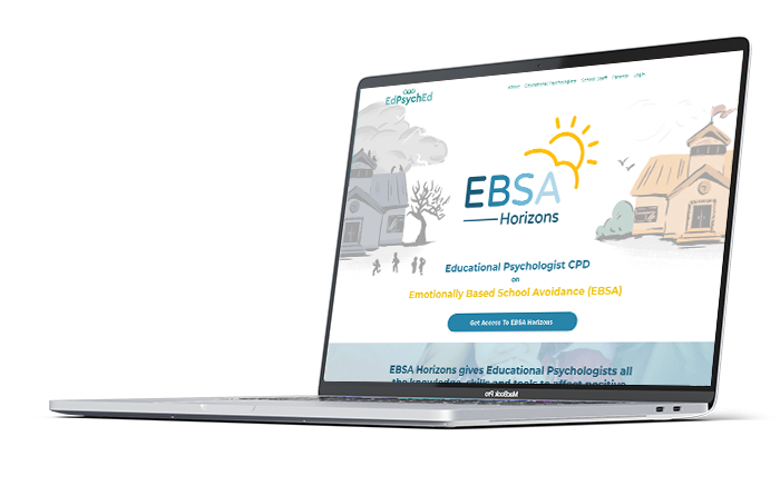 School Wellbeing Risk and Resilience Card Set