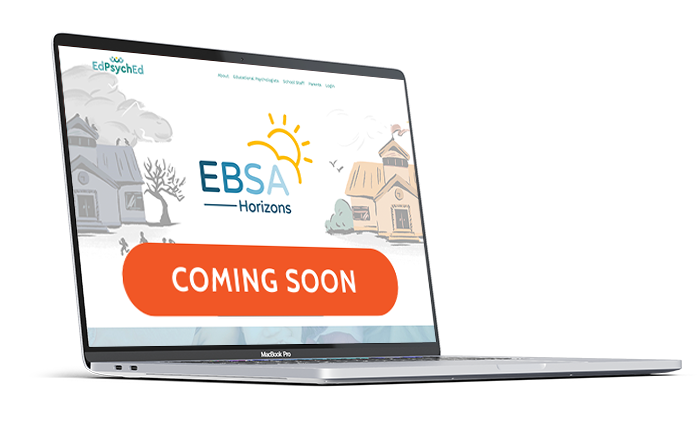 School Wellbeing Risk and Resilience Card Set