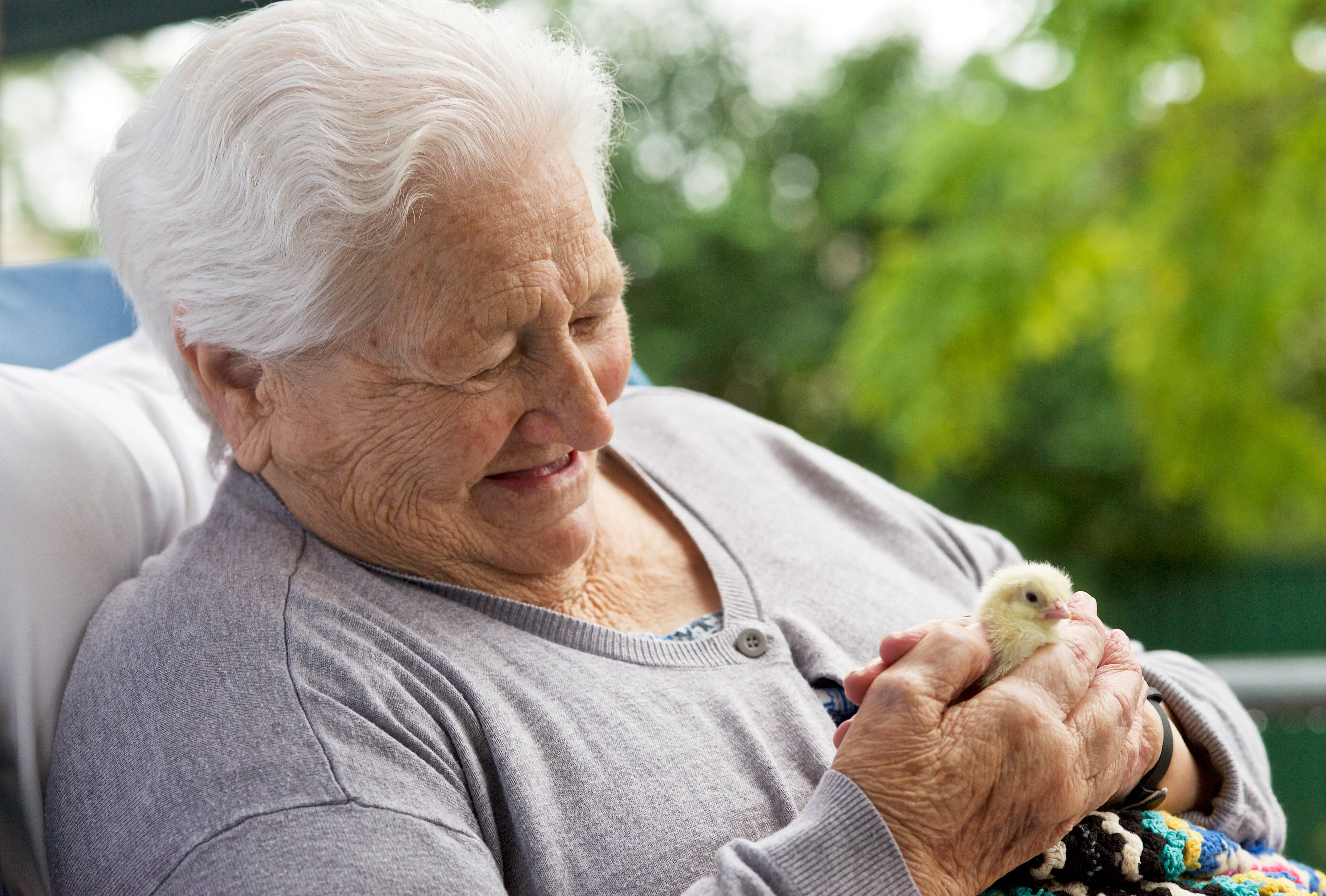 Our Care | SummitCare