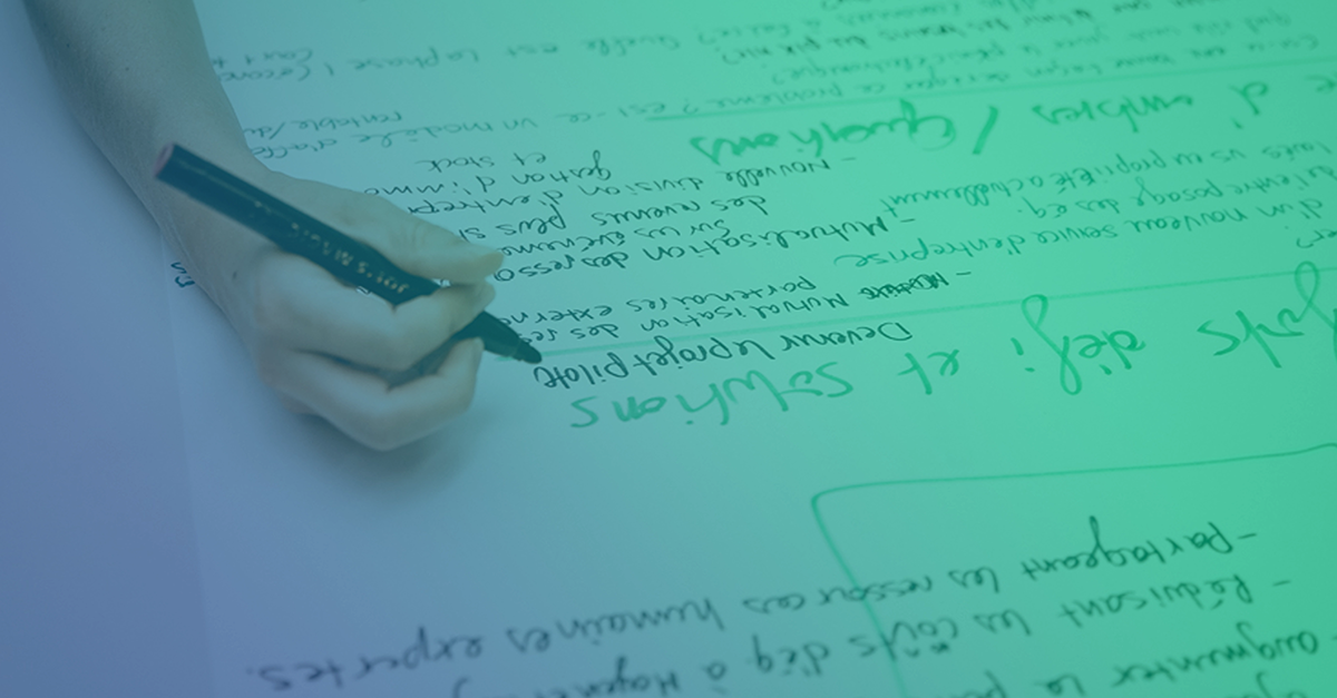 Sustainable development action plan - Ellio