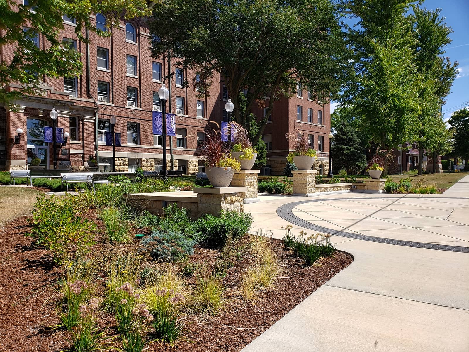 Saiki Design Website