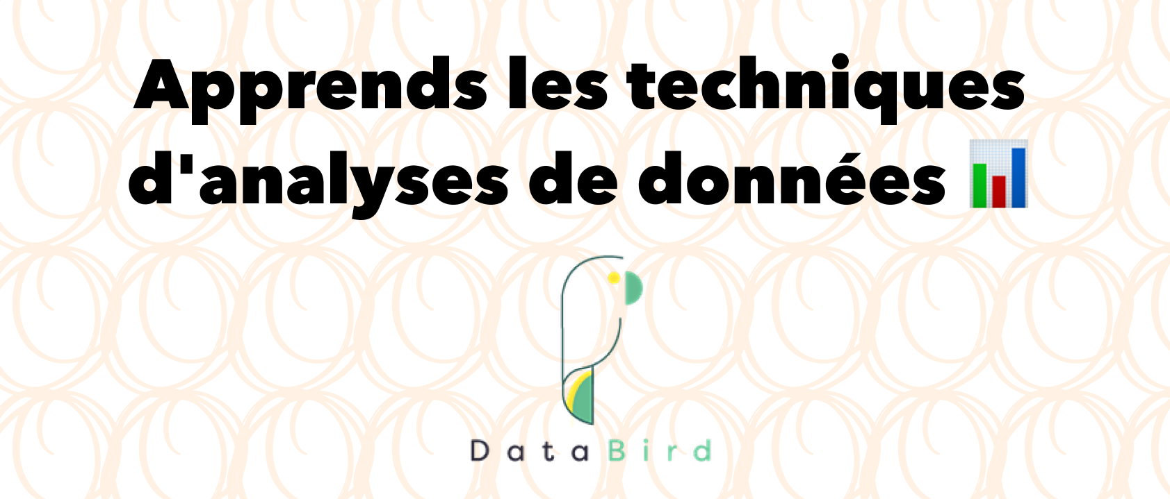 Formation Maitriser DataStudio par DataBird