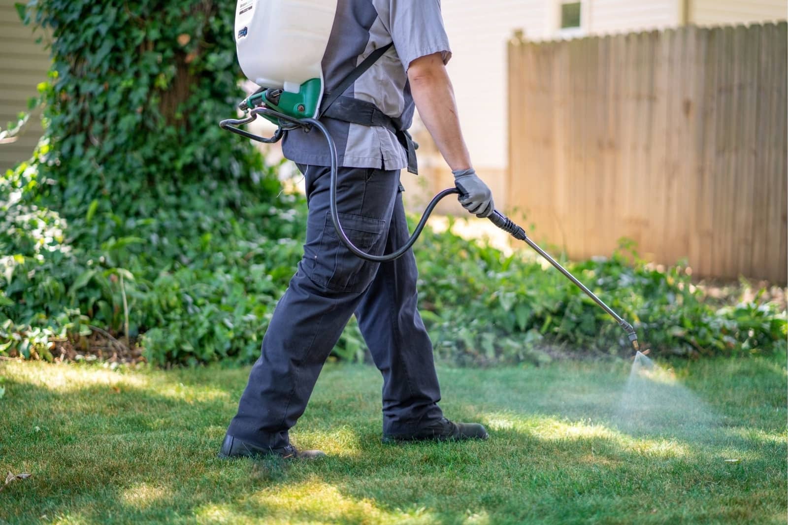 All Green Lawn Care | Fertilizer, Pest Control & Tree Care