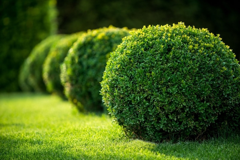 All Green Lawn Care | About Our Team