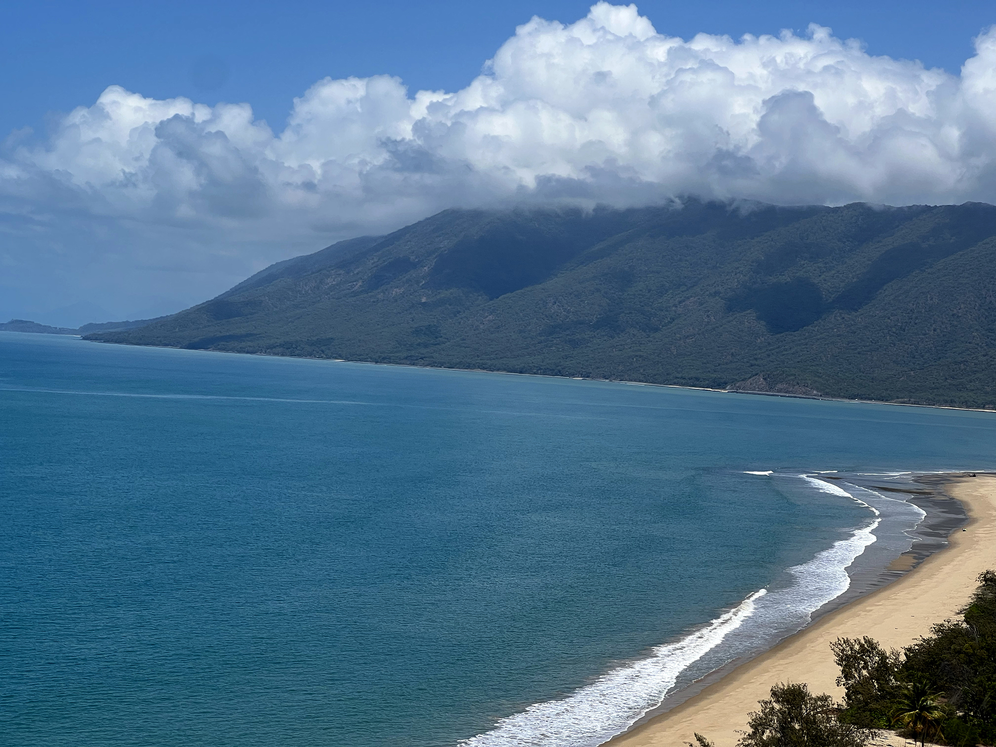 Carbon__Dating (Art + Grasslands Care & Culture)